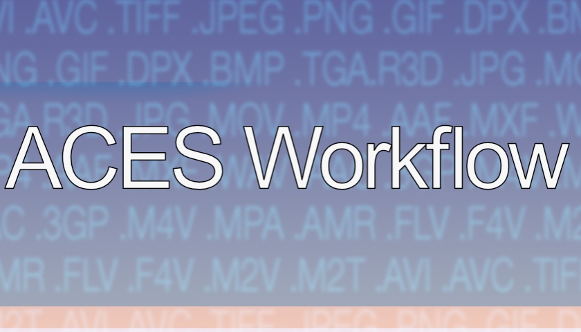 ACES Workflow | Accuskills